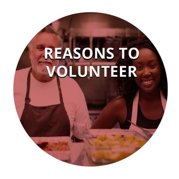 Volunteer Network OC - Helping You Help Others